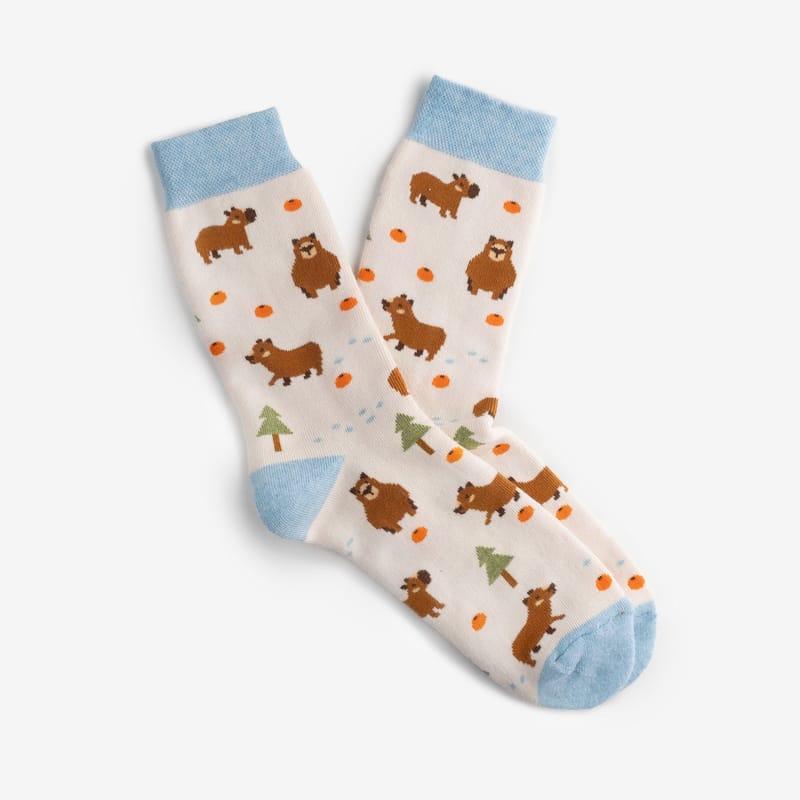 Pairs - Dodo Socks