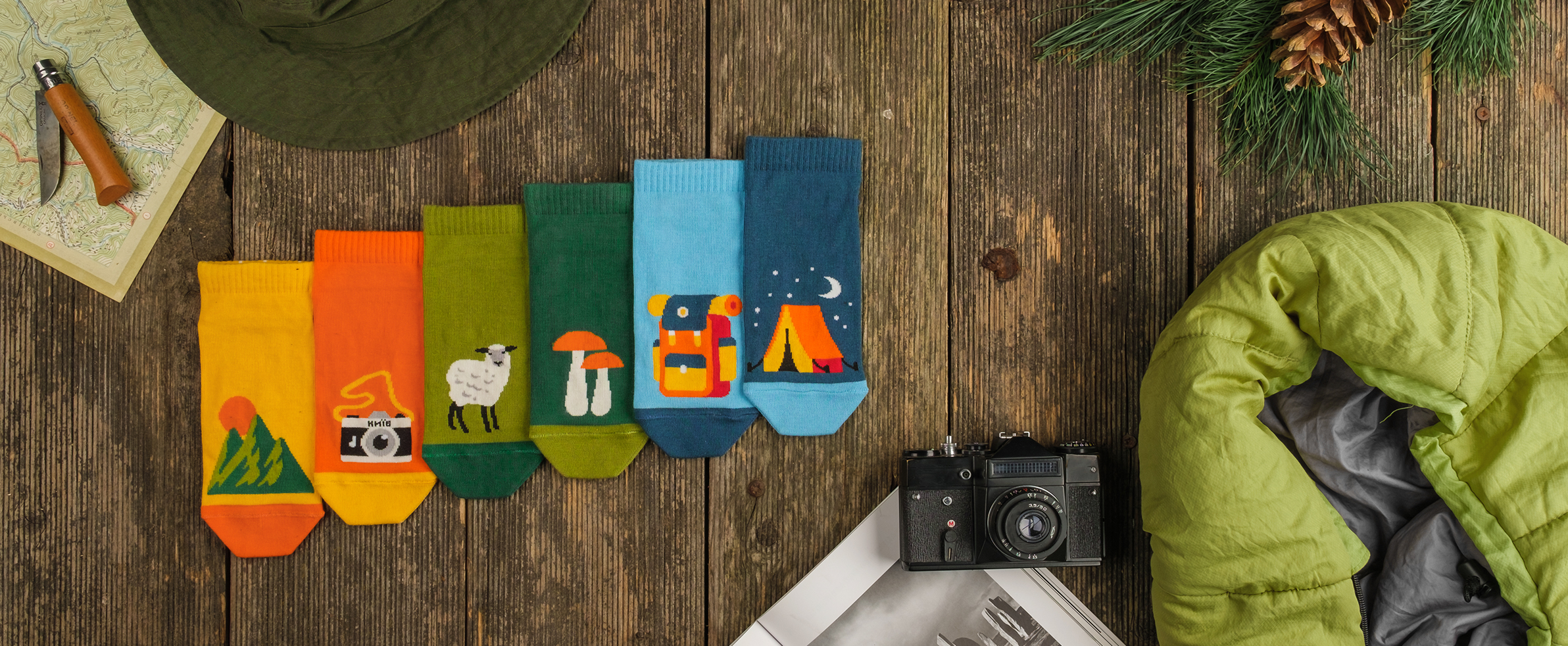 Dodo Socks | Якісні Кольорові Шкарпетки