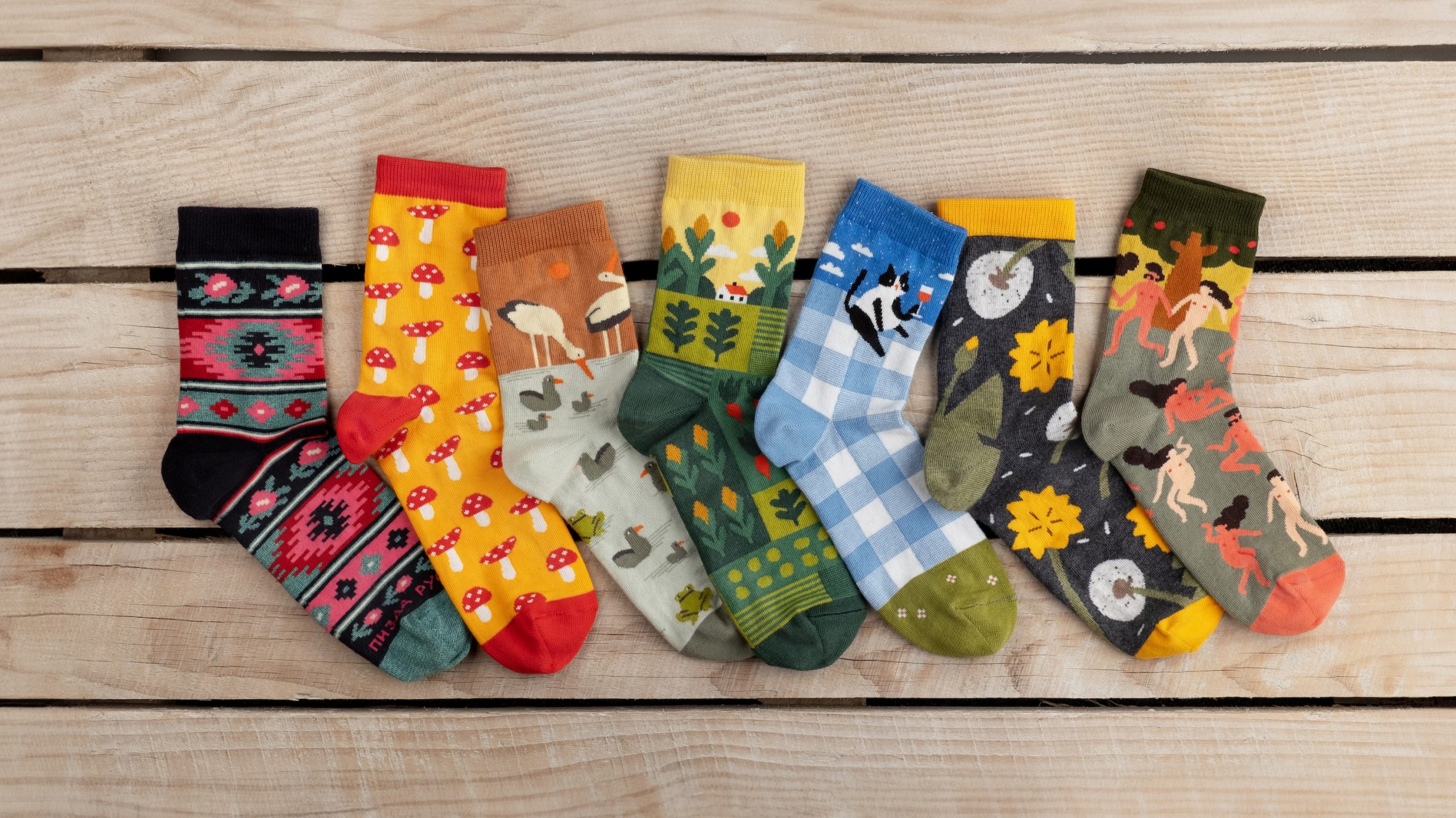 Dodo Socks | Якісні Кольорові Шкарпетки