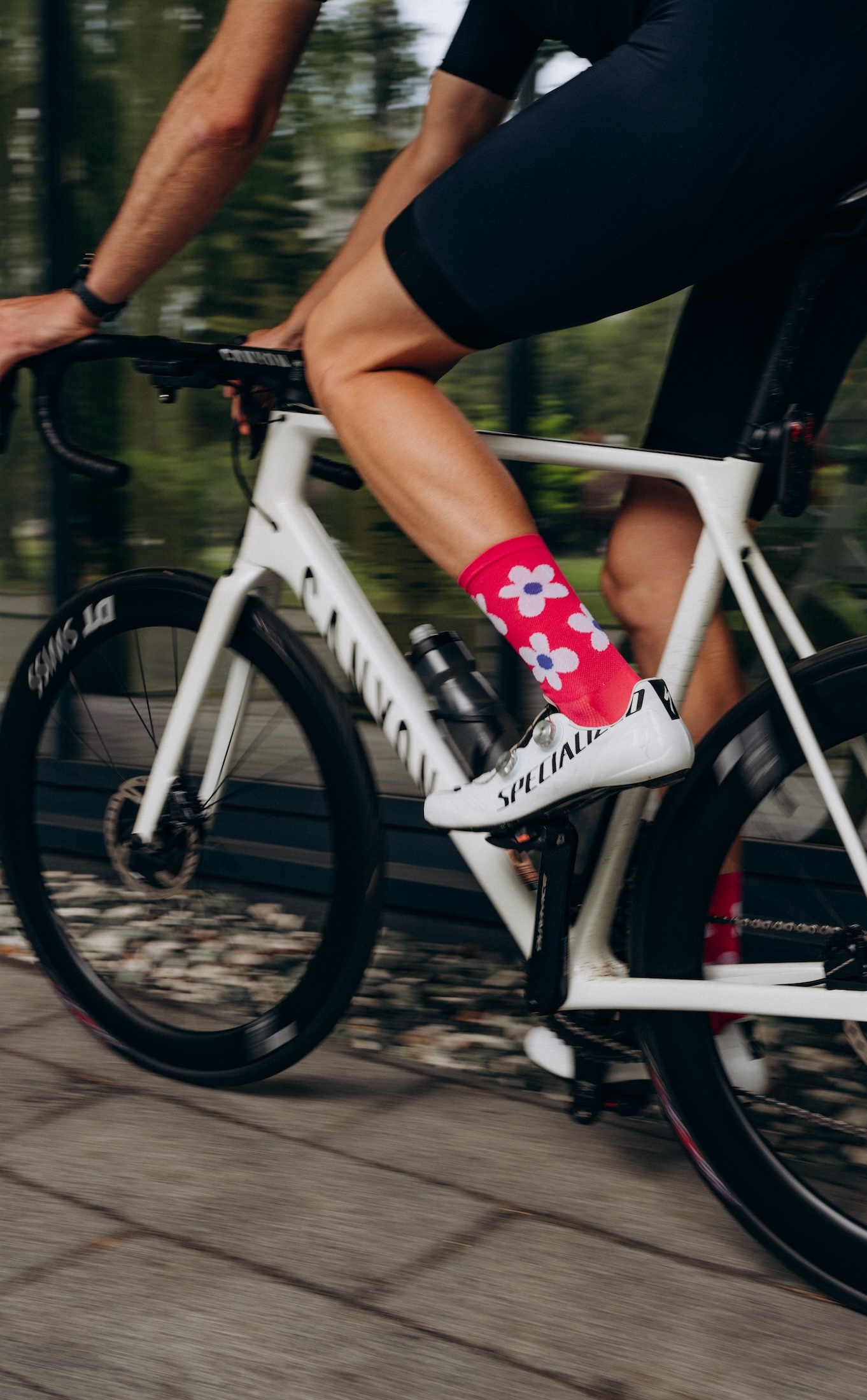 Dodo Socks | Якісні Кольорові Шкарпетки